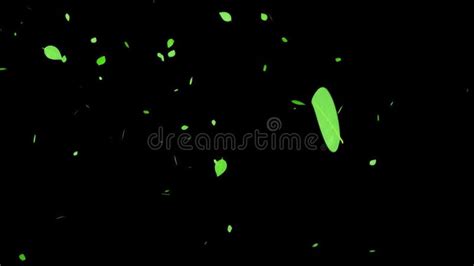 Color Leaves Falling Particles Motion Graphics Stock Video Video Of