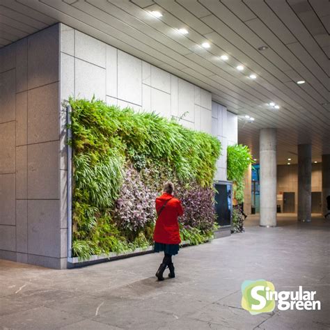 Cómo Hacer Piscinas Ecológicas Guía Completa De Construcción