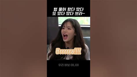 내가 제일 잘 나가 [프로미스나인] Youtube