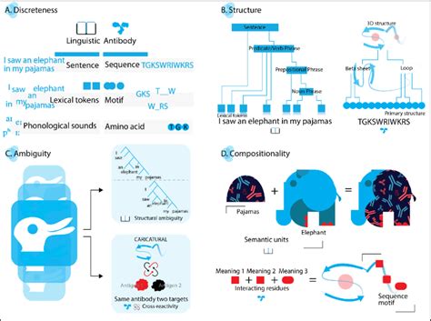 Antibody Sequences Display The Linguistic Properties A