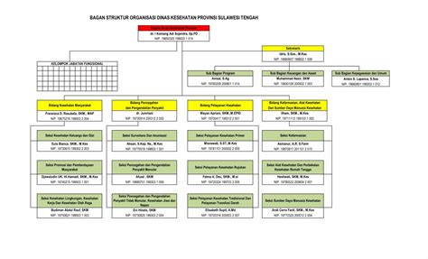 Struktur Organisasi DINKES PROV SULTENG