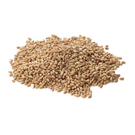 Farine De Blé Complète T110 Bio Direct Paysan Meunier