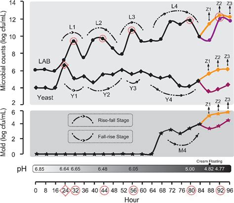 Microbial Dynamics During Natural Fermentation Of Milk Lab Yeast And