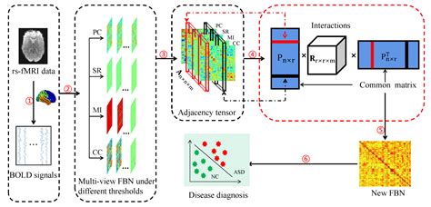 Fusing Multiview Functional Brain Networks By Joint Embedding For Brain Disease Identification