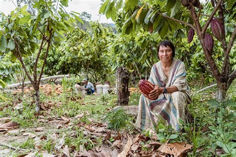 Programa Bosques Y Comunidades Nativas Impulsan La Conservación De Más De Cinco Millones De