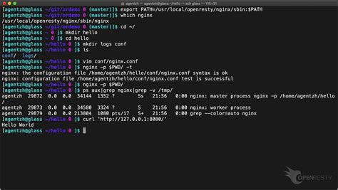 Hello World Example In OpenResty OpenResty Official Blog