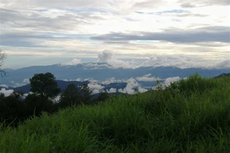 Los Desafíos Ambientales De México En El 2021 Mx