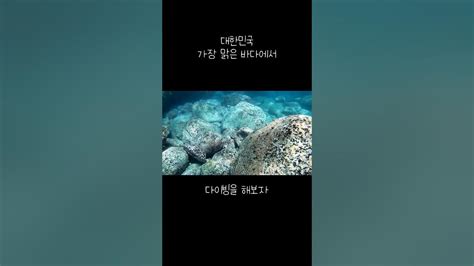 대한민국 가장 맑은 바다에서 다이빙을 해보자 Youtube