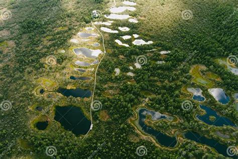 Viru Bog One Of The Most Famous Bogs Located In Lahemaa National Park