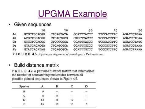 Ppt Introduction To Bioinformatics Powerpoint Presentation Free