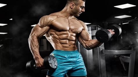 The Definitive Guide To Trenbolone Enanthate Cycle In 2023 The