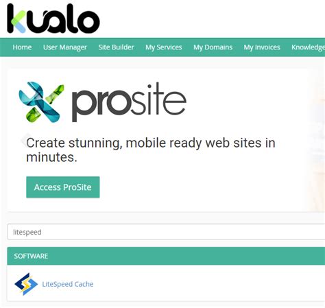 How To Enable LiteSpeed Cache In CPanel Kualo Limited