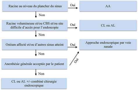 Decision Tree On Treatment Approaches For Removing A Root In The Download Scientific Diagram