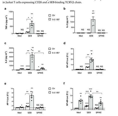Sars Cov 2 Spike Does Not Stimulate Inflammatory Pathways In Jurkat Download Scientific Diagram