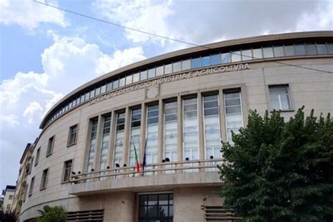 Concorso Cosenza Per Diplomati 5 Istruttori Camera Di Commercio
