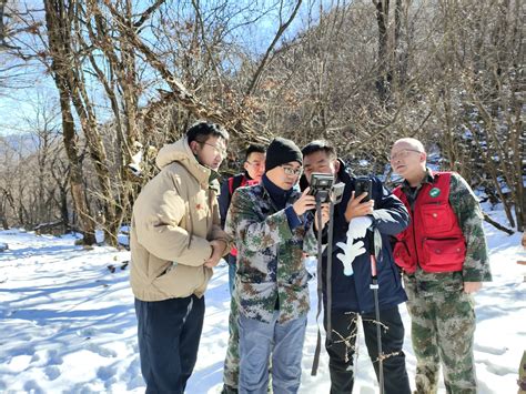 小陇山管护中心总林长督查当前重点工作 甘肃省小陇山国家级自然保护区