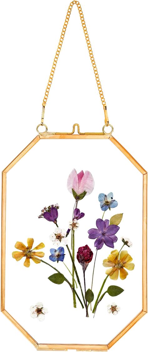 4 Pieces Hanging Glass Floating Frame 5 X 7 Inch Double Clear Pressed Flower Frames