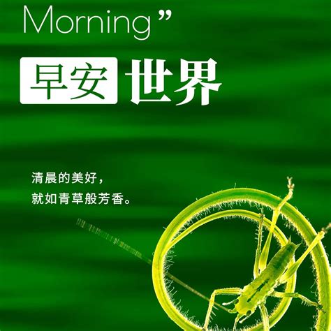 早上好祝福语图片正月廿三 亲爱的朋友 甘露 玻璃