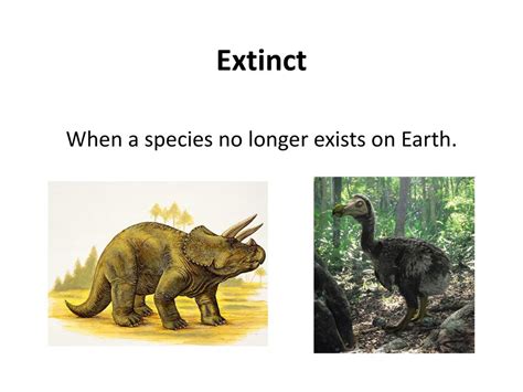 Theory Of Evolution Ppt Download