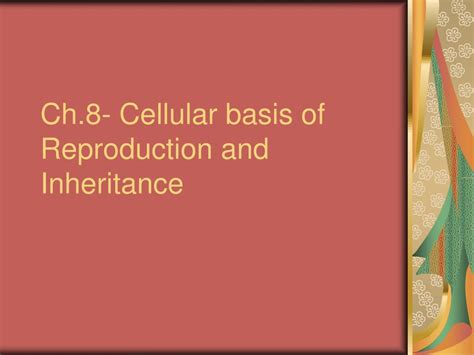 PPT Ch Cellular Basis Of Reproduction And Inheritance PowerPoint Presentation ID