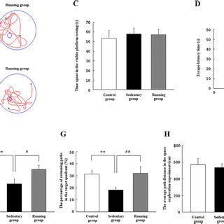 The Effects Of Exercise On The Spatial Learning And Memory Abilities Of