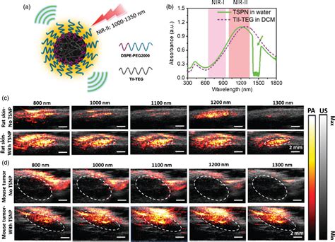 Photoacoustic Imaging In The Second Near Infrared Window A Review