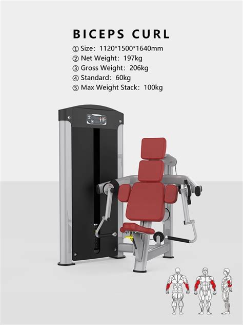 Machine Seated Bicep Curl