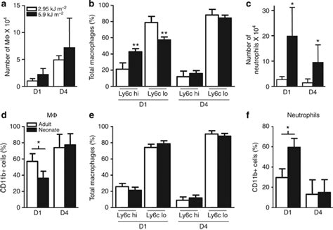 Single Uvb Irradiation Induces Distinct Myeloid Cell Recruitment In