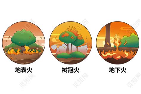 卡通手绘火灾类型森林防火消防宣传安全教育知识元素插画图片素材下载 觅知网