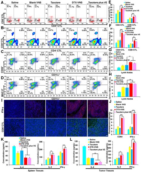 In Vivo Synergetic Immunotherapy Effects A Representative Flow