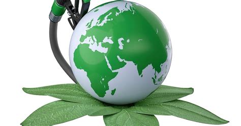 The Benefits Of Using Reusable Products Over Disposable Ones