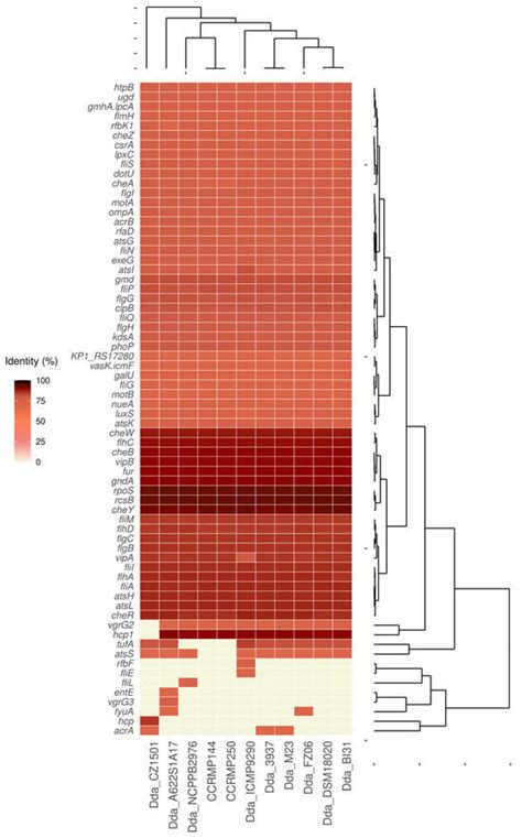 Taxonomy An Open Access Journal From Mdpi