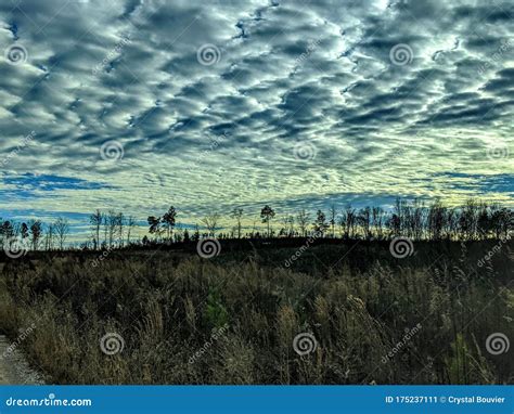 Sheets Of Clouds Stock Image Image Of Cirrus Stratus 175237111