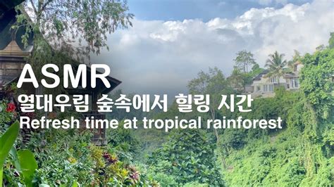 Asmr 고요한 숲속에서 보내는 힐링타임 아름다운 열대우림 자연 한가운데서 보내는 휴식 시간 Forest Ambience