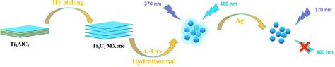 Cysteine‐functionalized Ti3c2 Mxene Quantum Dots As Fluorescent Sensors For The Detection Of Ag