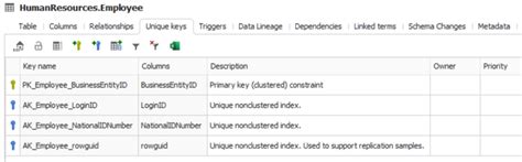Documenting Primary And Unique Keys Dataedo Documentation