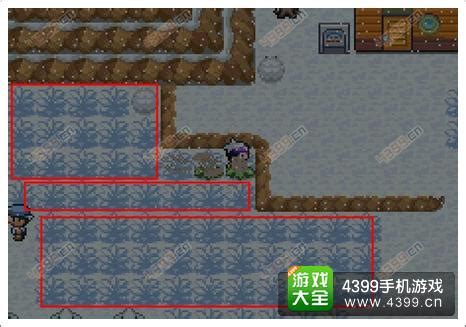 口袋妖怪漆黑的魅影制造工作室在哪 哨子怎么做 冬雪镇