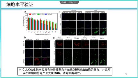 潘渊博医师：近红外二区激光介导的化学动力学治疗脑胶质母细胞瘤 脑医汇