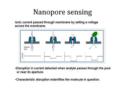 Oxford Nanopore Technologies Nanopore Sequencing Introduction To Nanopore