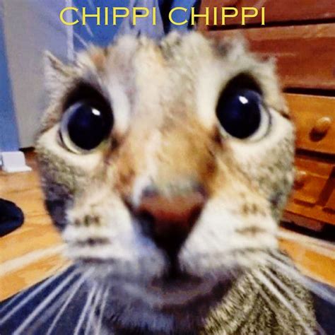 ‎chippi Chippi Chappa Chappa Trap Edition Single Album By
