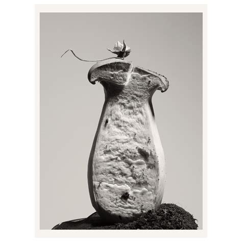 Mathieu Trautmann Mathieutrautmann · Instagram 照片和视频