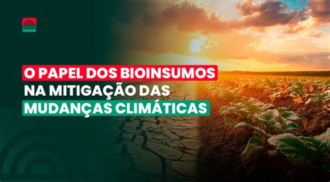 A Importância Do Ph Do Solo Para A Produção Agrícola Solusolo