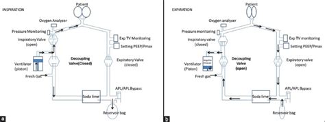 A Decoupling Of Fresh Gas Flow Fgf The Decoupling Valve Dv