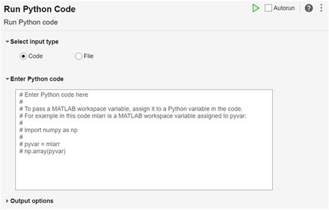 Run Python Code