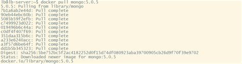 mongodb 简介、特点、安装、核心概念 mongo 简介 csdn博客
