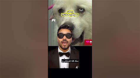 یعنی ۸ تا گرگ💀🫠 اگه میخای تو کامـ ـنتا دنبال توضیحات نباشی فقط کافیه