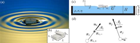 Figure 2 From Theoretical Modeling Of Capillary Surfer Interactions On