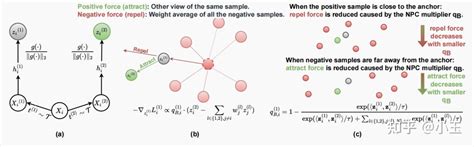 [iclr2022]decoupled Contrastive Learning 知乎