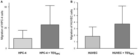 migration of hpc 4 a and huvec b cells to tev hpc 30 μg ml