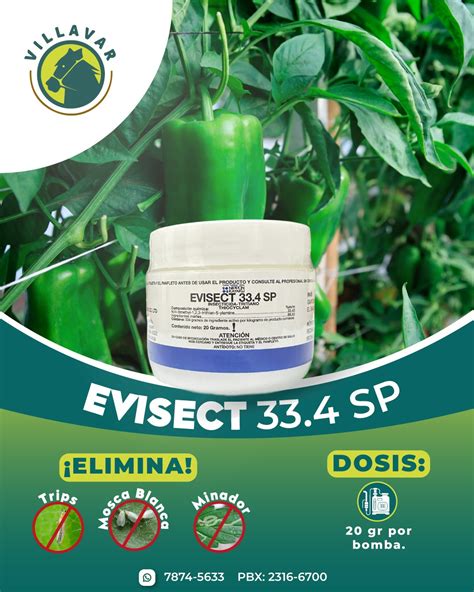 Villavar 🚫 ¡plagas Fuera Cultivos Sanos Evisect 334 Sp Es El